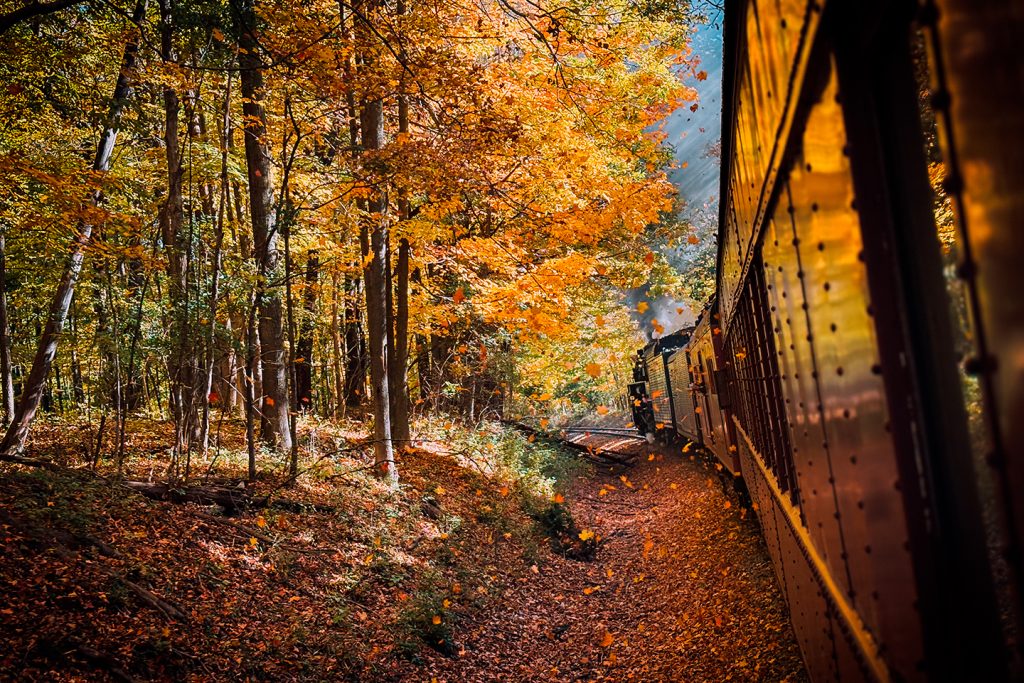 5 Scenic Fall Train Rides in Indiana You Can’t Miss in 2025 - We Like Indy