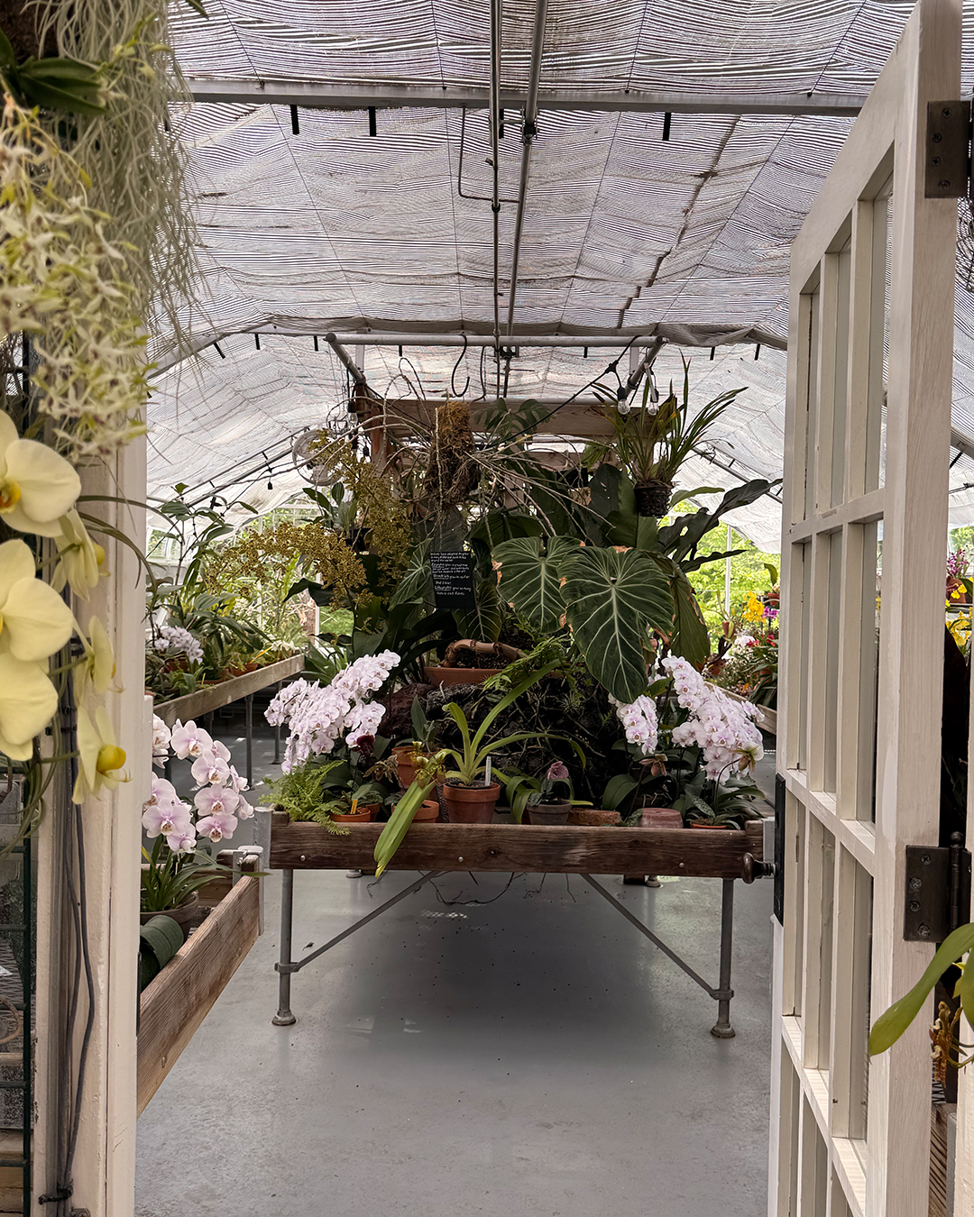 Things to Do This Spring in Indianapolis (2026 Guide)